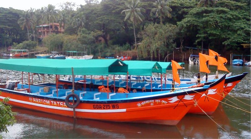 Boat Cruise In Goa — Cruise in Goa